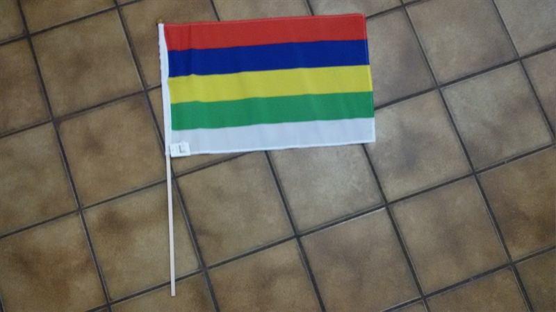 vlag op stok | De Groot Fietsen Terschelling
